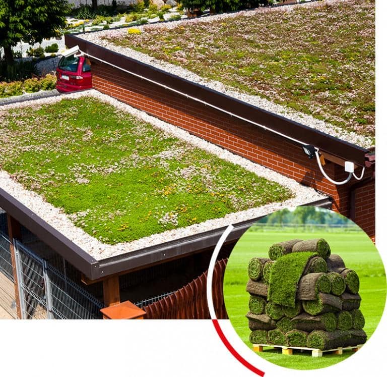 Producer of Sod and Green Roofs: XERO FLOR Wholesale
